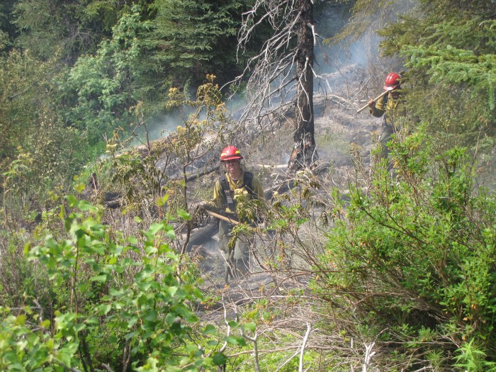 Firefighter doing well after bear encounter – Alaska Wildland Fire ...