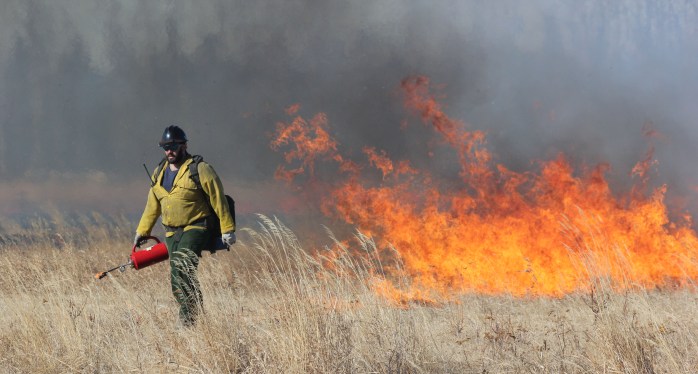 State to conduct annual prescribed burns on Delta Junction Bison Range ...