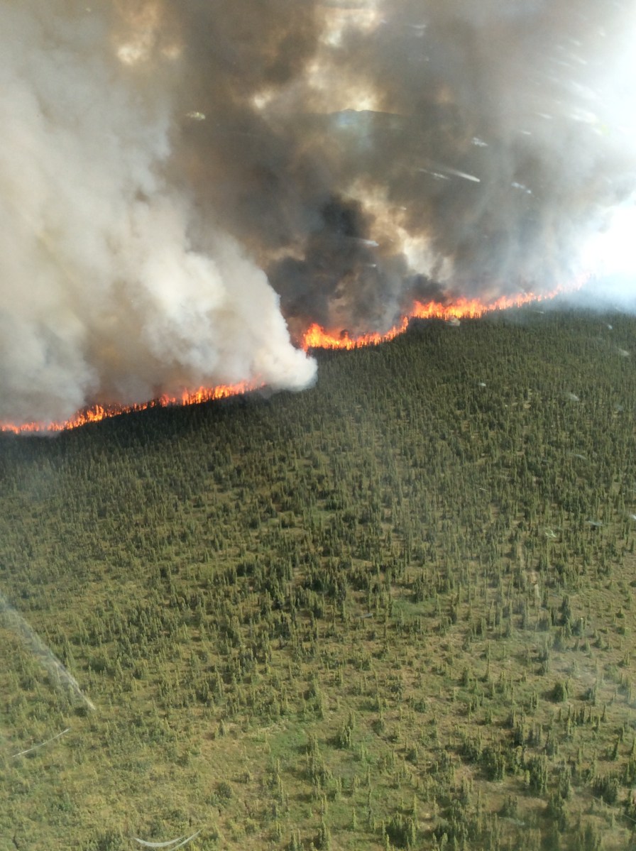 State forestry monitoring wildfire off Pogo Mine Road north of Delta ...