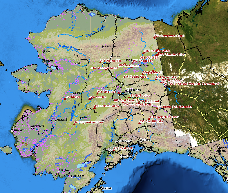 Forestry works on new fire near Nenana – Alaska Wildland Fire Information