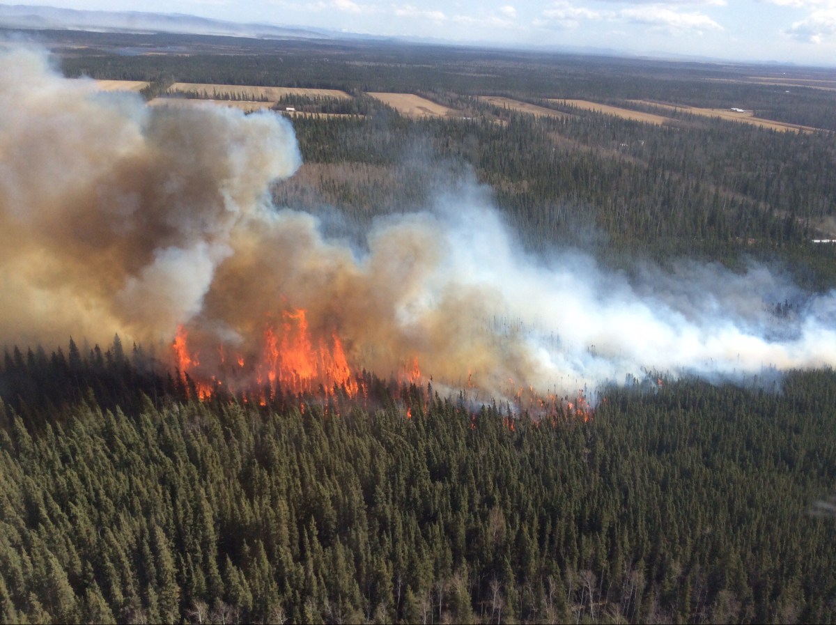 Firefighters mopping up 250-acre wildfire near Delta Junction – Alaska ...