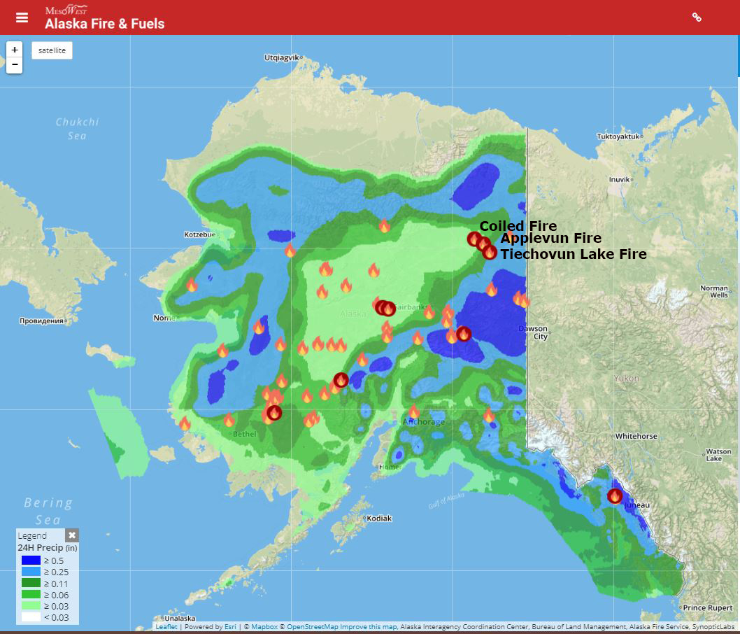Rain falls on Yukon Flats fires – Alaska Wildland Fire Information