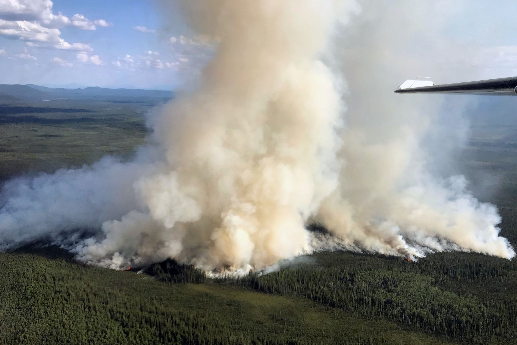 Wildfire near Tok now estimated at 730 acres – Alaska Wildland Fire ...