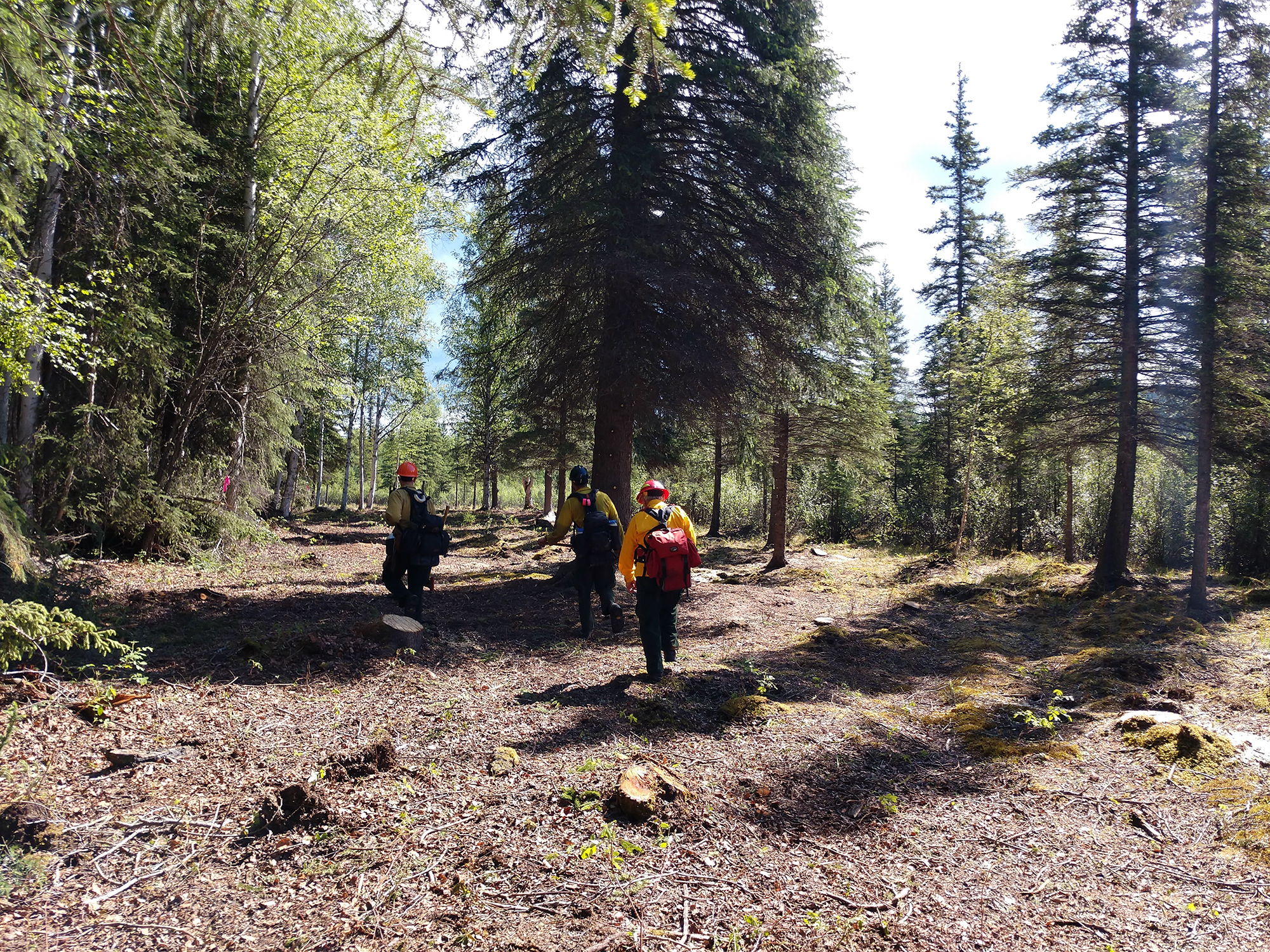 Final daily update for Oregon Lakes Fire – Alaska Wildland Fire Information