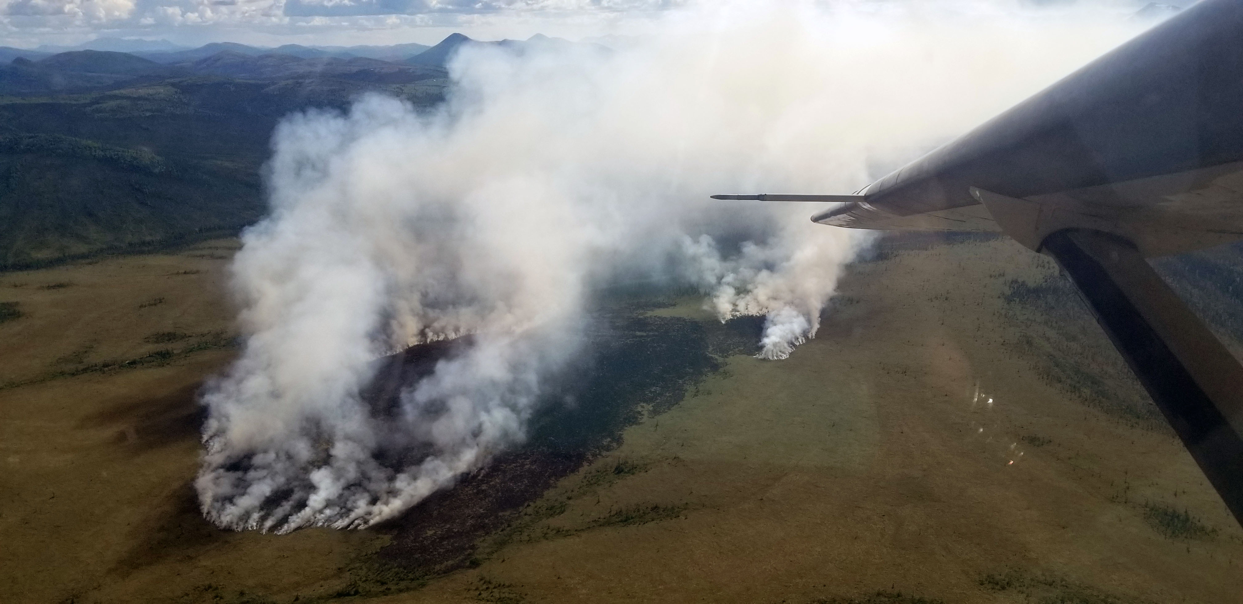State forestry mopping up two lightning-caused wildfires in southwest ...