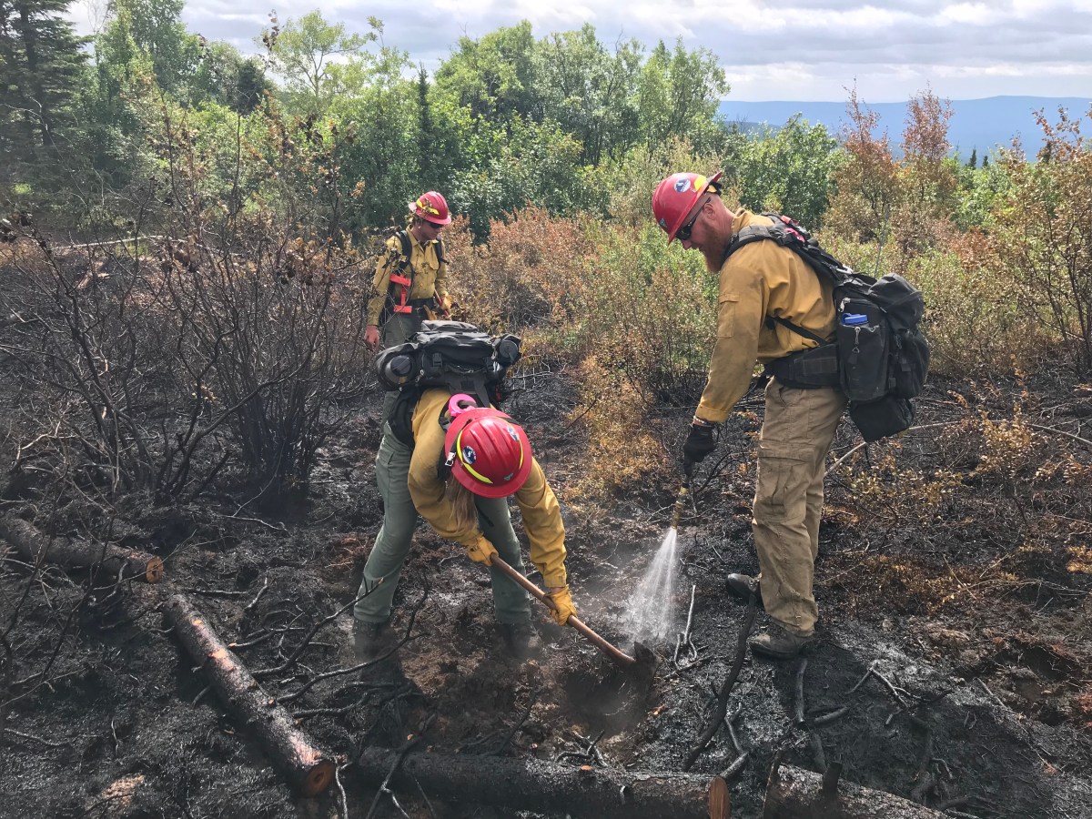 Shovel Creek Fire July 15, 2019 8am Update: Progress Continues with ...