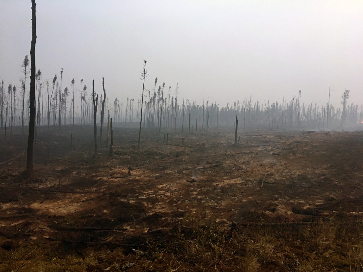 Cooler, wetter weather assists firefighters trying to tame 1,200-acre ...