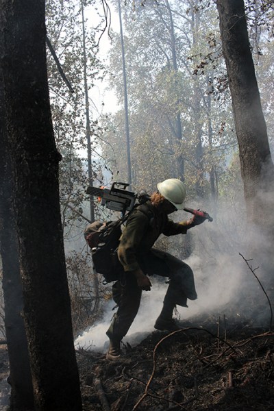 Malaspina and Montana Creek fire update – July 9, 2019: Type 2 IMT ...