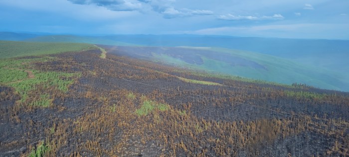 Fuel break slowed Haystack Fire growth – Alaska Wildland Fire Information