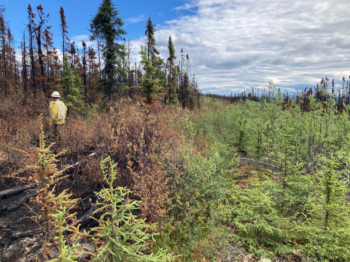 Alaska Incident Management team wraps up work on the Haystack Fire ...
