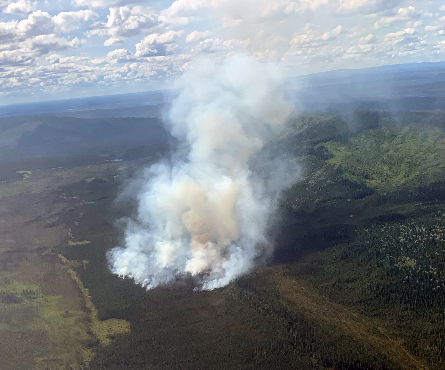 State forestry attacking wildfire 2 miles north of Parks Highway near ...