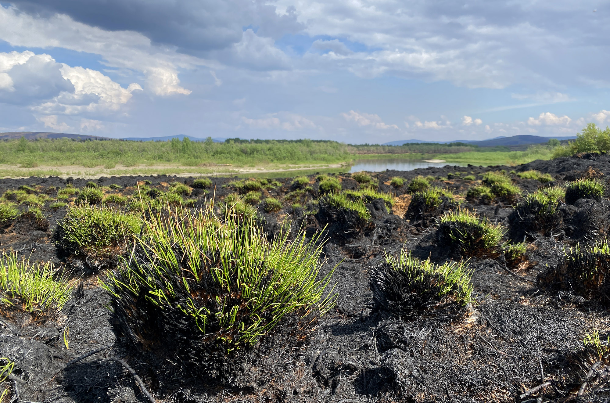 Minimal growth on the East Fork Fire – Alaska Wildland Fire Information