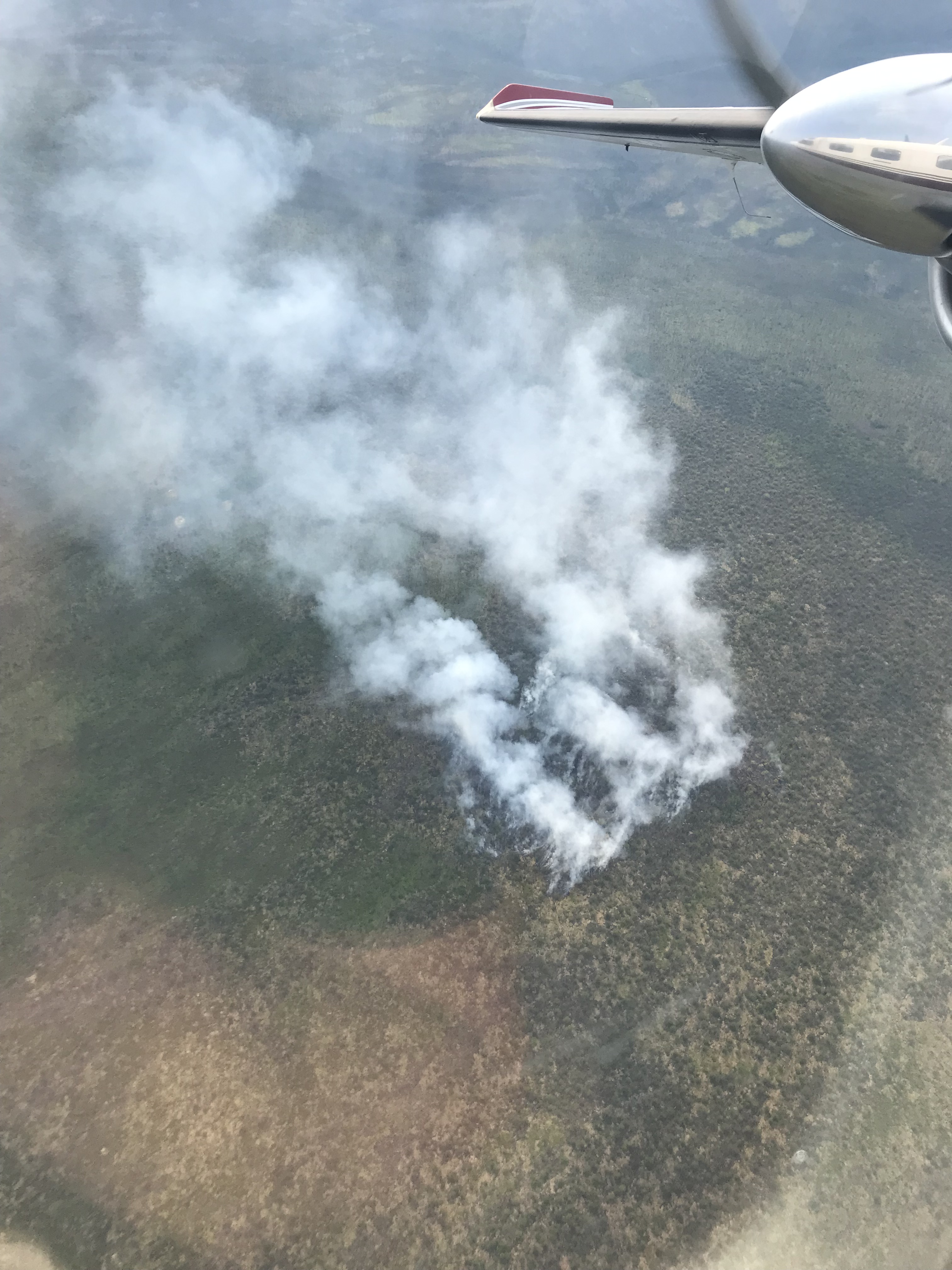 Six more lightning-caused fires detected in Central Alaska – Alaska ...
