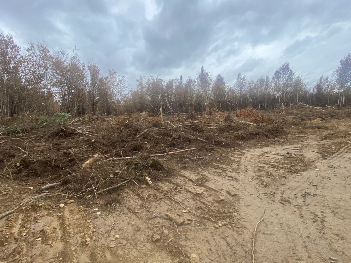 Dozer-constructed fuel breaks and clean up in progress – Alaska ...