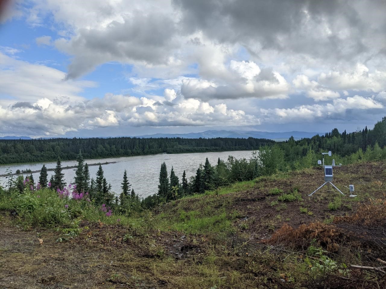 Lime Complex to be turned back to local unit – Alaska Wildland Fire ...