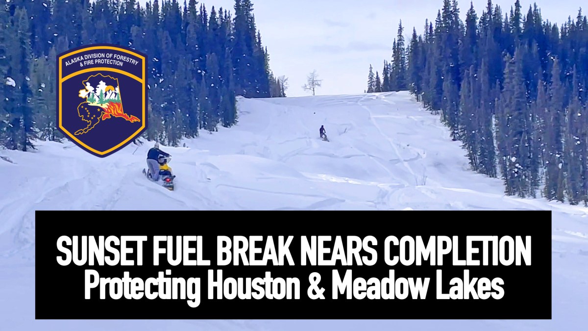 Contractor completes mechanical work at Sunset Fuel Break over winter ...