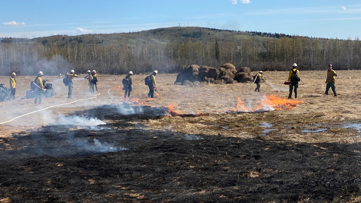 State to conduct annual prescribed burns at Creamer’s Field Thursday ...