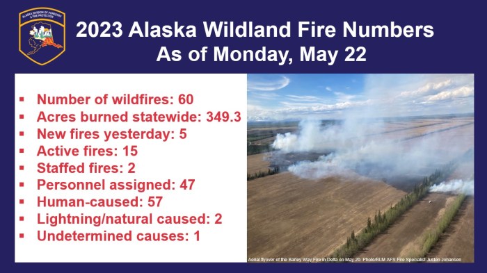 Weekly fire report: 22 human caused fires in Alaska last week – Alaska ...