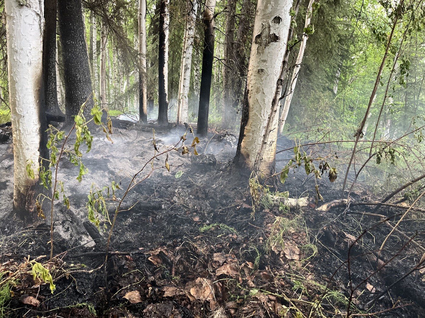 Heavy precipitation aided the quick response to the Saint Patrick Creek ...
