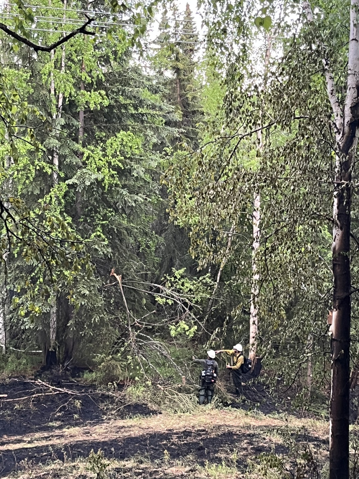 Heavy precipitation aided the quick response to the Saint Patrick Creek ...