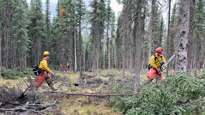 Evacuation order issued due to Anderson Complex; crews work to protect ...