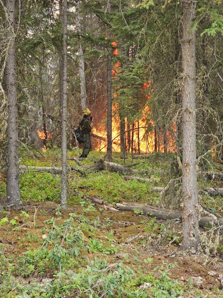 Evacuation orders in place for Denali and Fairbanks North Star Boroughs ...