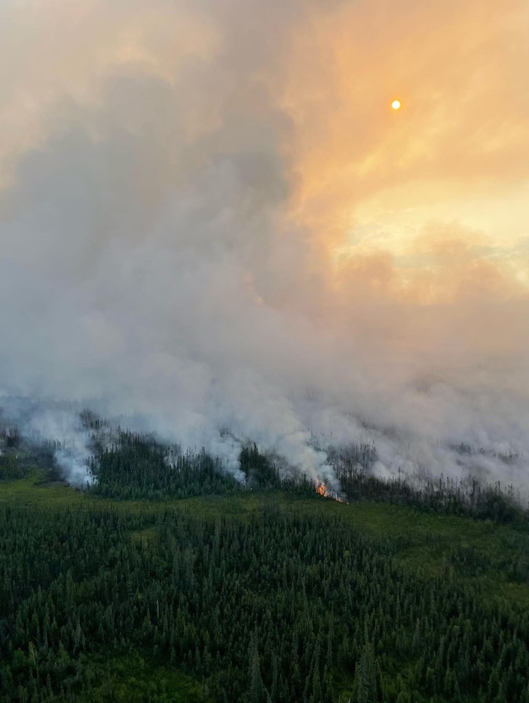 Division of Forestry & Fire Protection uses Alaskan resources ...