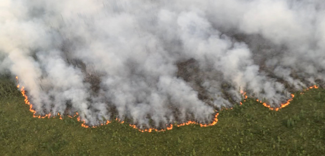 Single day growth of 35,000 acres pushes year to date total to 110,000 ...