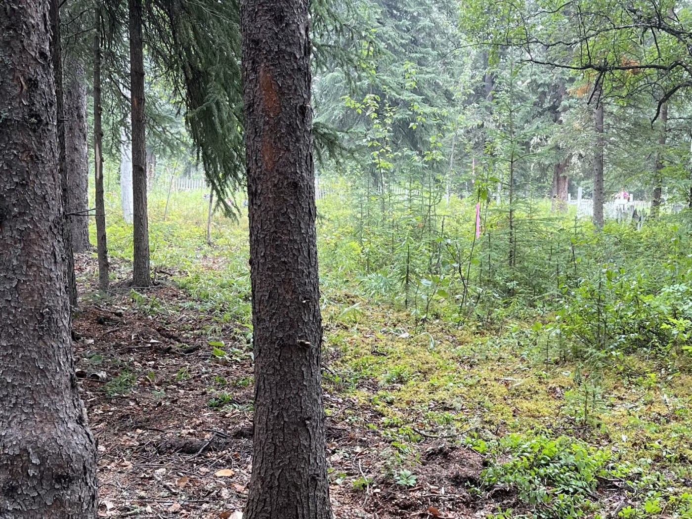 Anderson Complex fire crews make most of cool, wet weather – Alaska ...