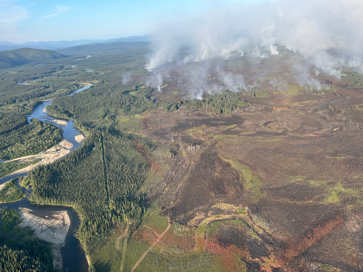 IC Torrey Short Assumes Command of the McCoy Creek Fire – Alaska ...