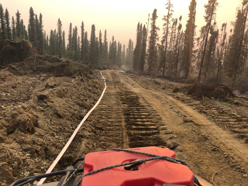 Scattered thunderstorms and moderating temperatures forecasted for ...