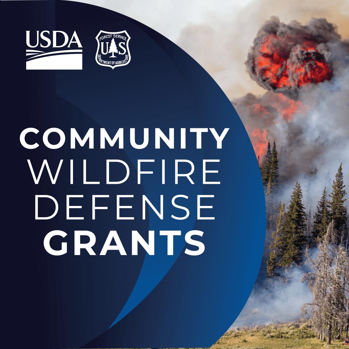 Alaskan Communities Awarded Funding to Mitigate Wildfire Risk – Alaska ...