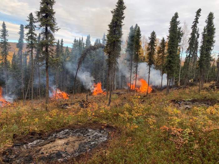 Alaska Division of Forestry & Fire Protection to burn slash piles near ...