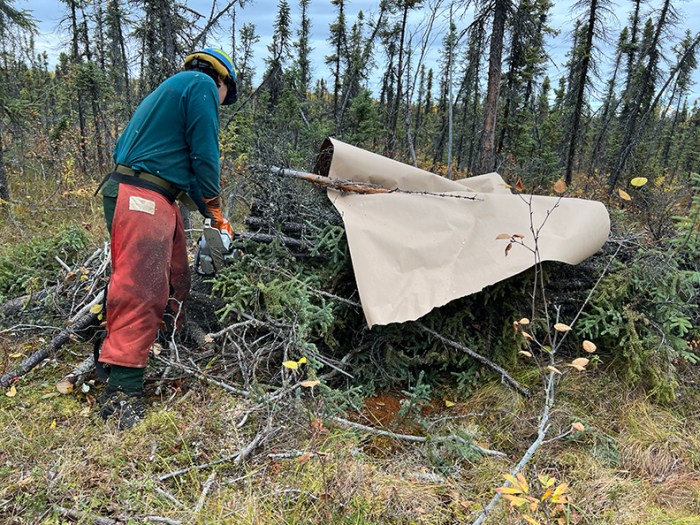 Creating wildfire-resilient Alaska communities – Alaska Wildland Fire ...
