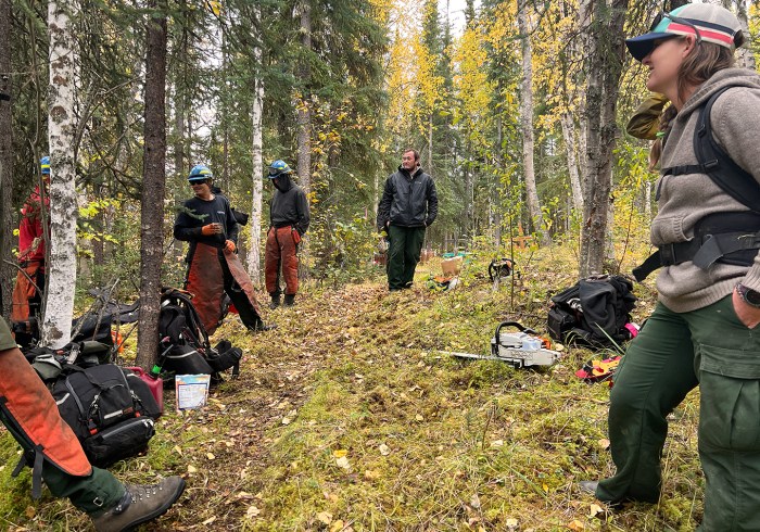 Creating wildfire-resilient Alaska communities – Alaska Wildland Fire ...