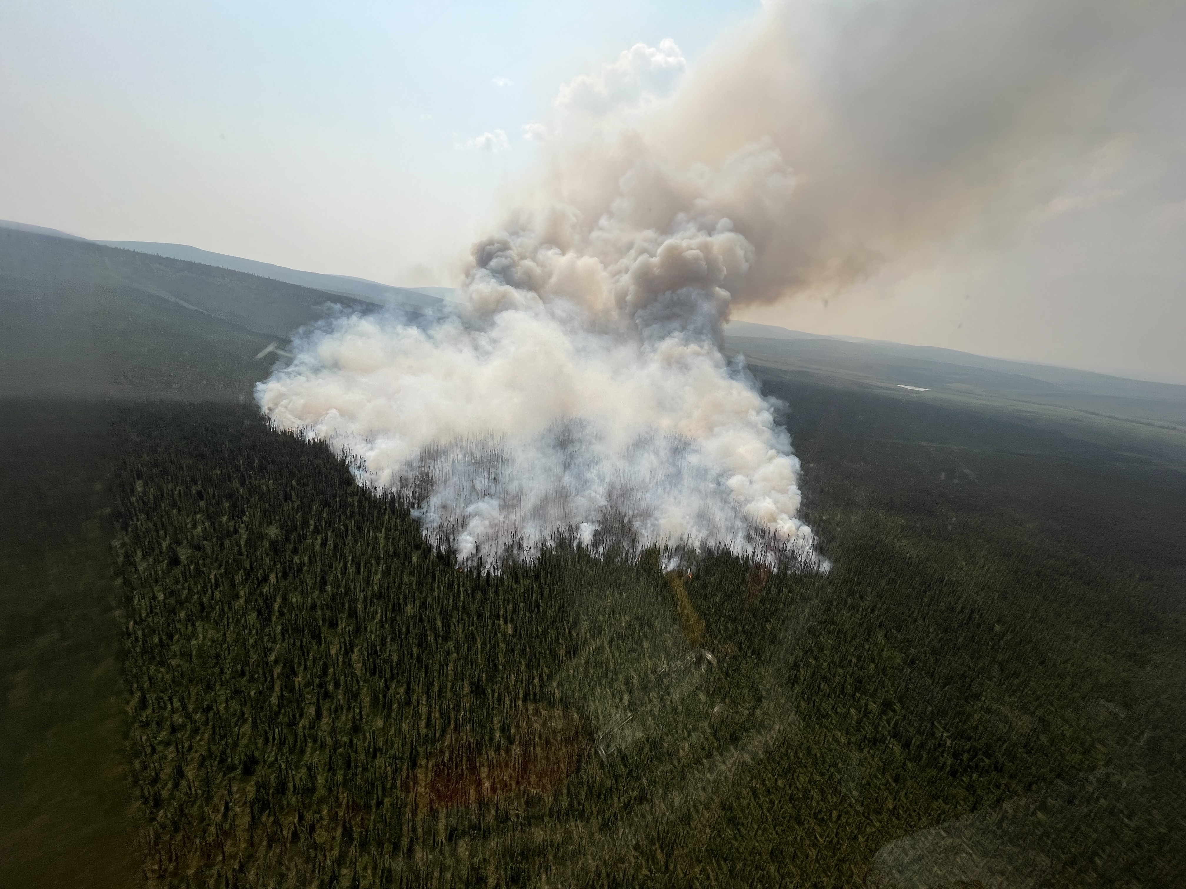 Division of Forestry & Fire Protection Continue to Respond to Multiple ...