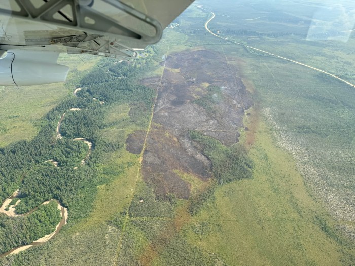 Zero fire growth on Deception Pup and Flasco Fires; Update 6/29/2024 ...