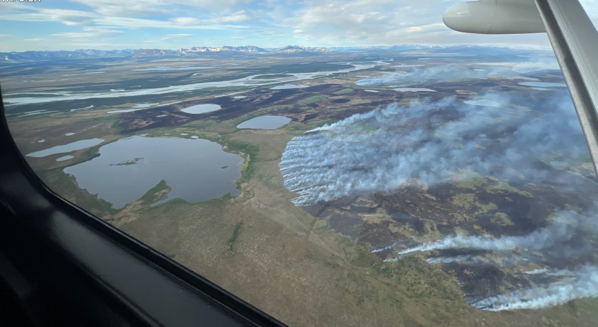 BLM AFS monitoring several large tundra fires in Western Alaska ...