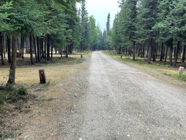 Harding Lake Campground Fuel Reduction Work Completed in Alaska State ...