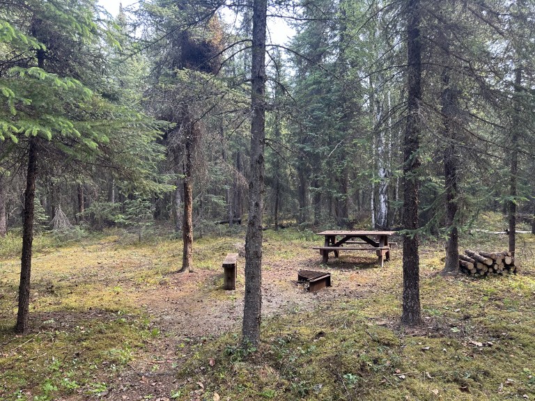 Harding Lake Campground Fuel Reduction Work Completed in Alaska State ...