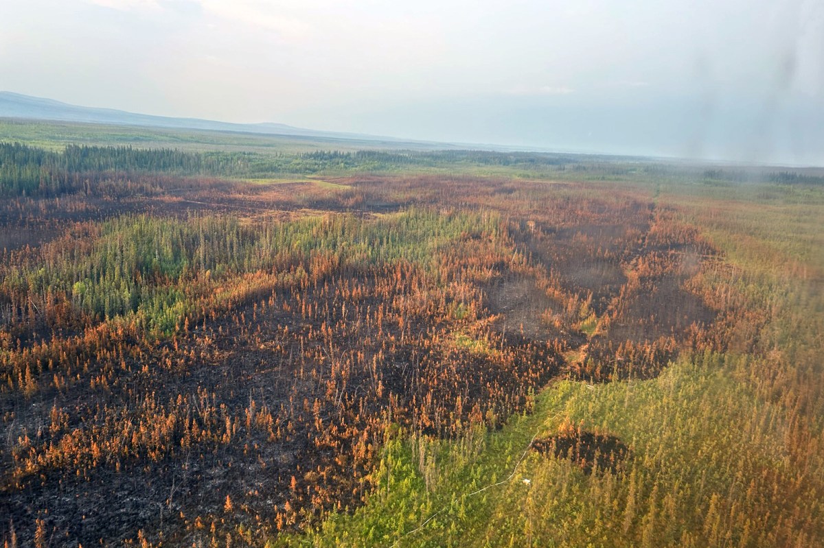 BLM Alaska Fire Service Fire Update – Alaska Wildland Fire Information