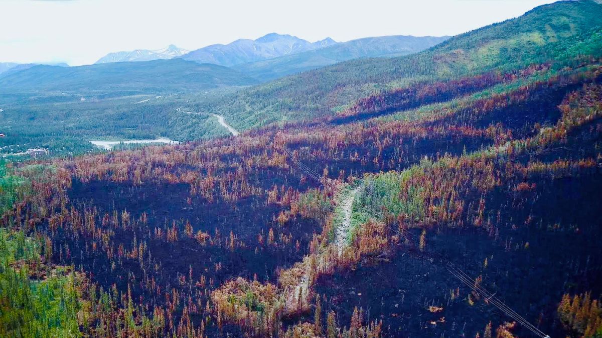 Riley Creek Campground to reopen tomorrow – Final Riley Fire update ...