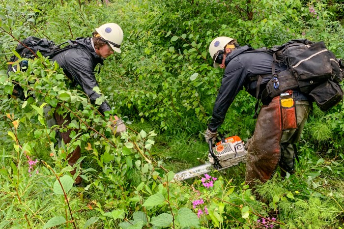 BLM Alaska Fire Service Fire Update – Alaska Wildland Fire Information