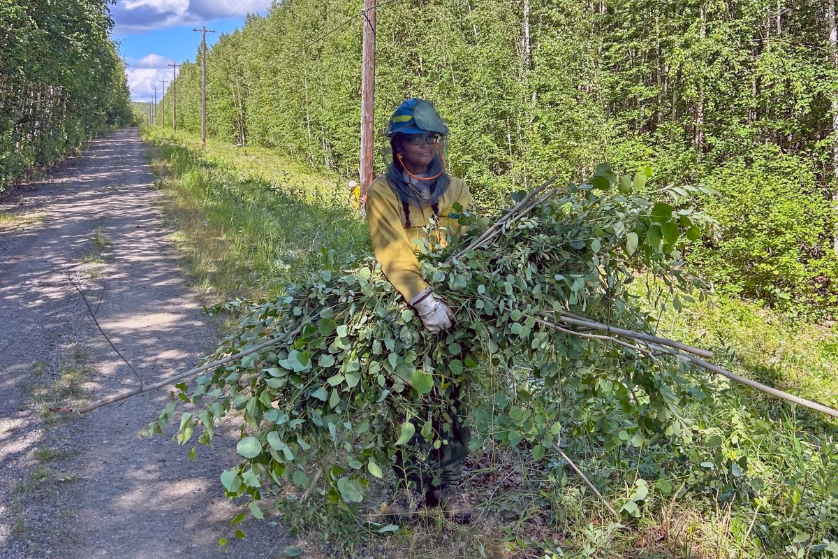 BLM Alaska Fire Service Fire Update – Alaska Wildland Fire Information