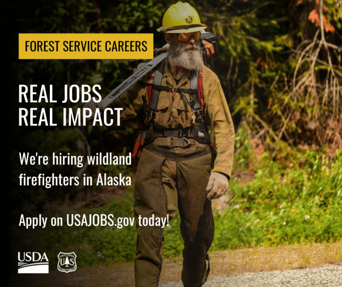 Forest Service hiring 17 wildland fire positions for 2025 – Alaska ...