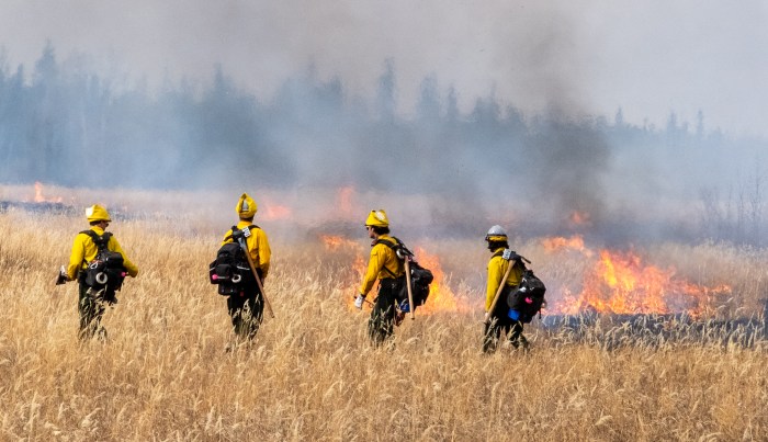 Alaska Wildland Fire Information – akfireinfo.com