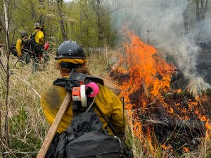 Alaska Division of Forestry & Fire Protection – Alaska Wildland Fire ...