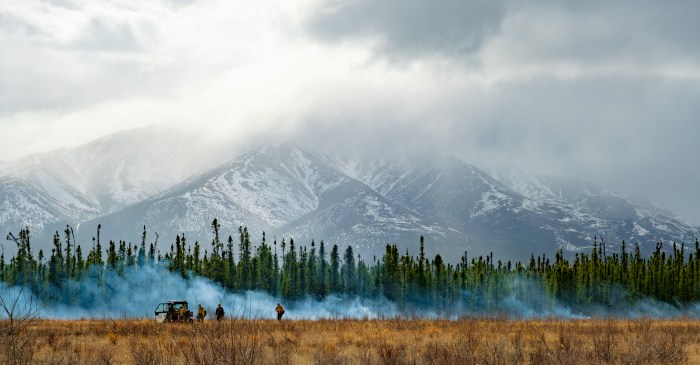 Prescribed Burns Planned for Bison Range Habitat Spruce Stands – Alaska ...