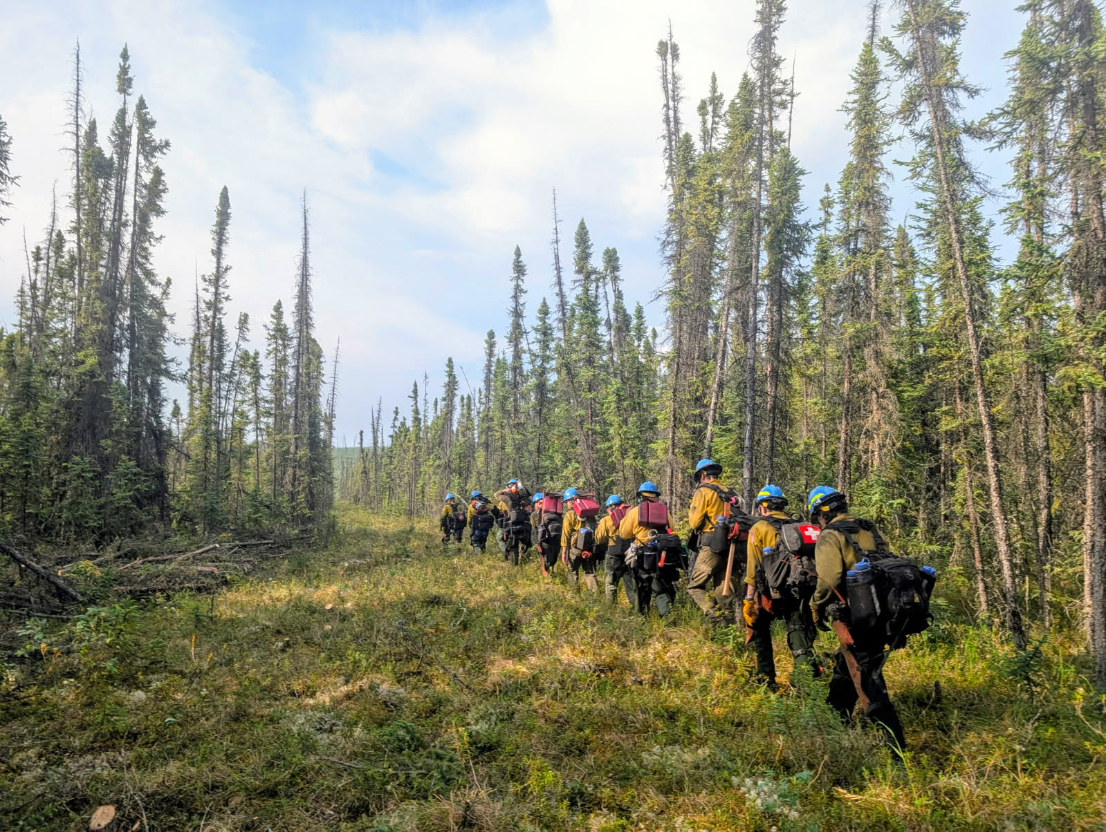 Recent weather pattern helps to moderate Ptarmigan Complex fires ...