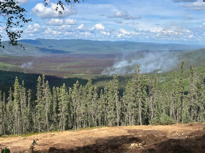 Crews continue to monitor the Nenana Ridge Complex and prepare for ...